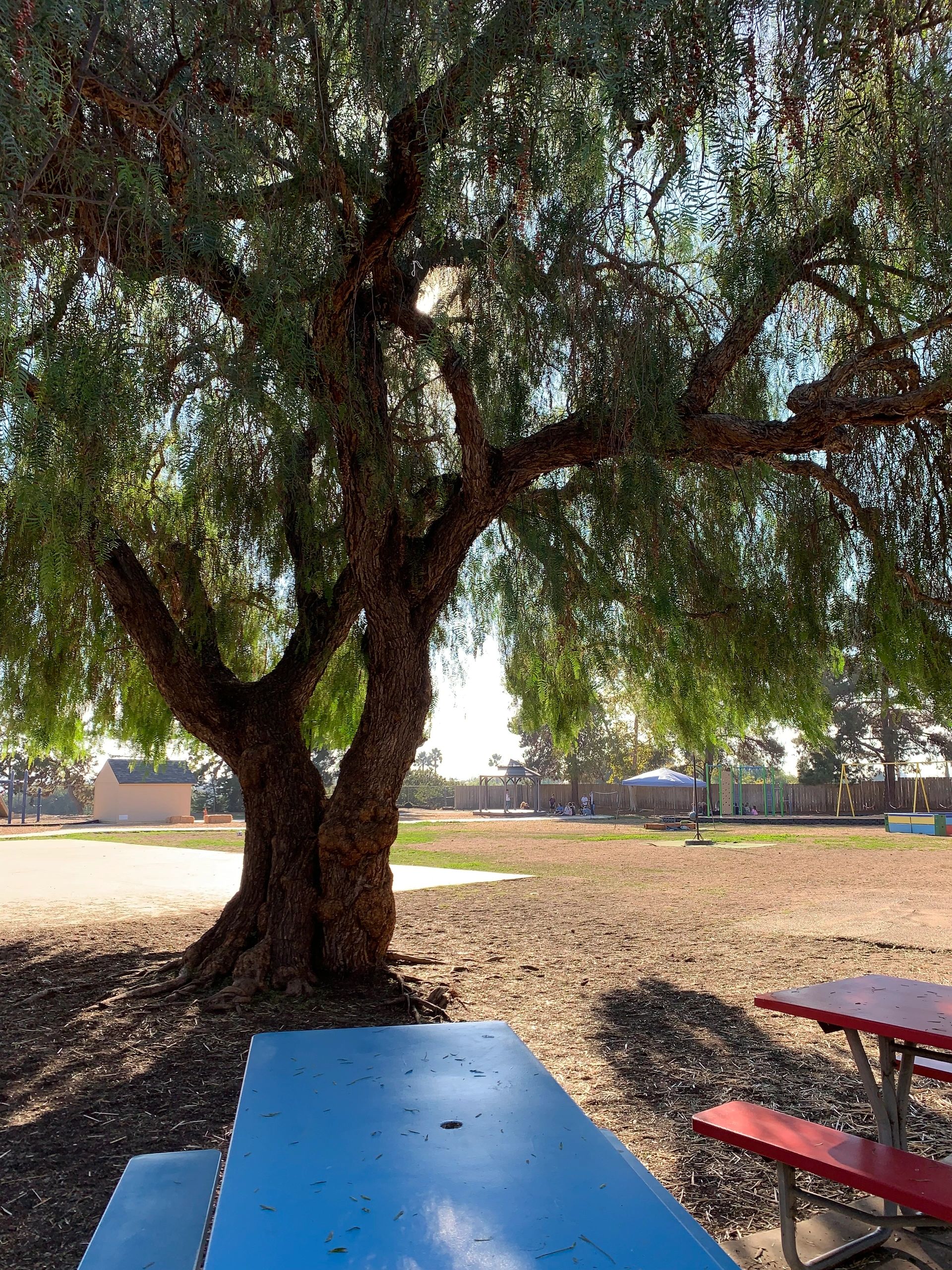 Zion Christian Learning Center